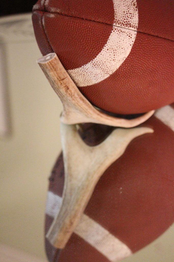 Art Gallery of Ontario hosts Talk for Nordic Lab Artist Residency with ...